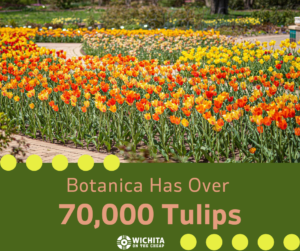 Botanica the Wichita Garden Tulip Festival