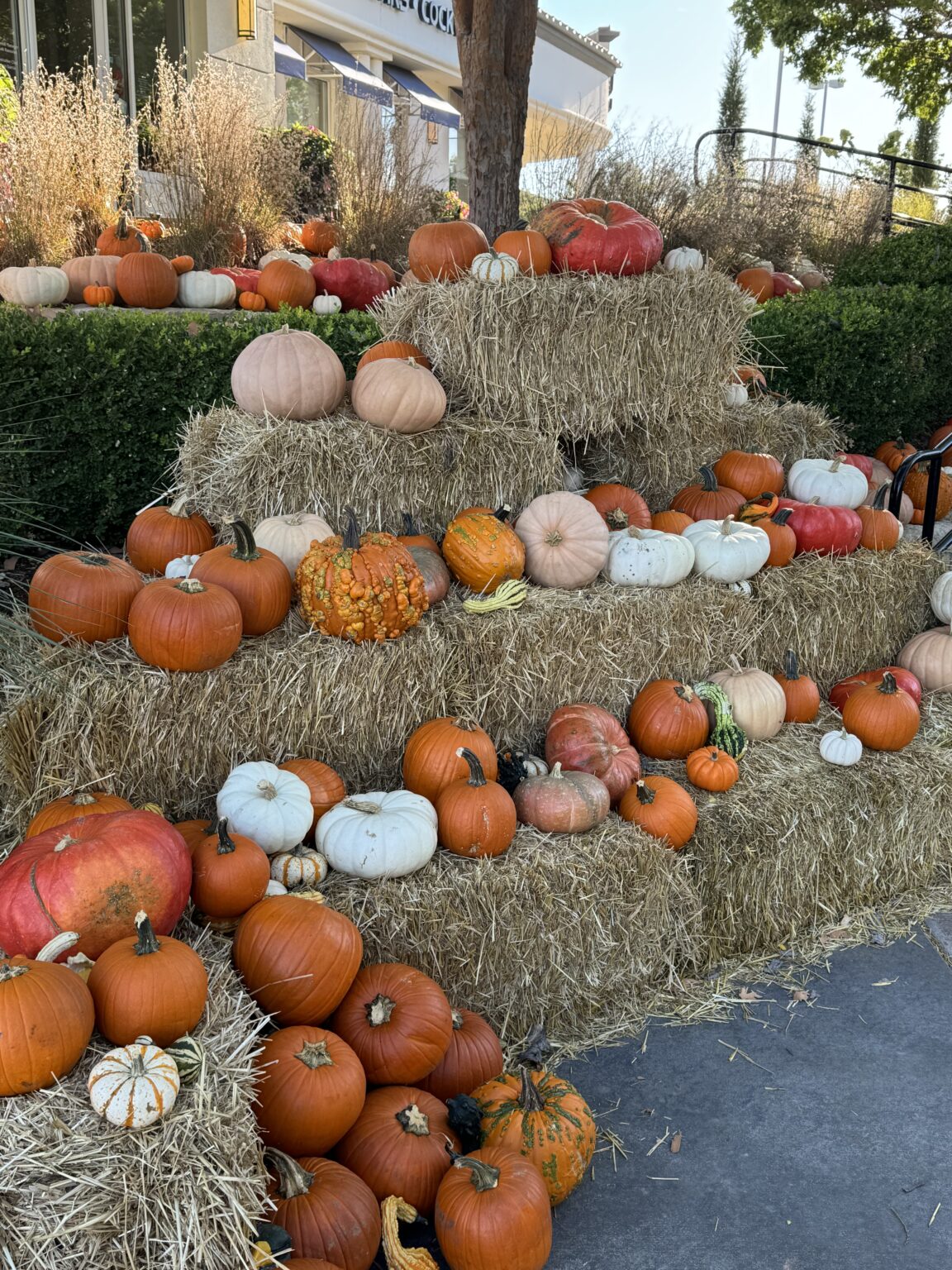 Bradley Fair Fall Family Friday Events in October: Wichita, KS