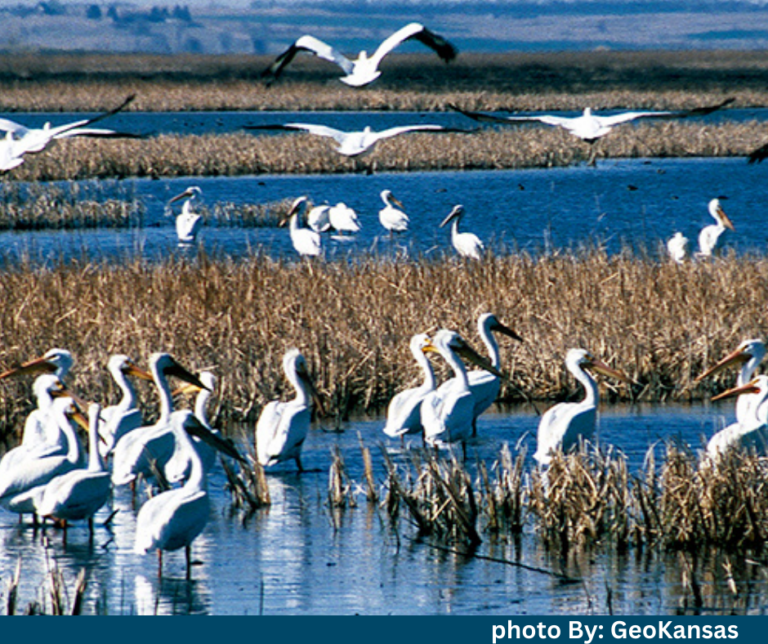 8 Wonders of Kansas Quick Review: Road Trip I Tips, Info & Prices