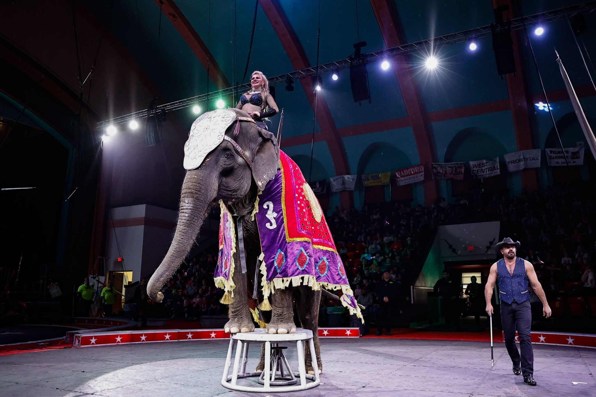 Circus Spectacular at Heartland Arena: How to Save on Tickets 2026