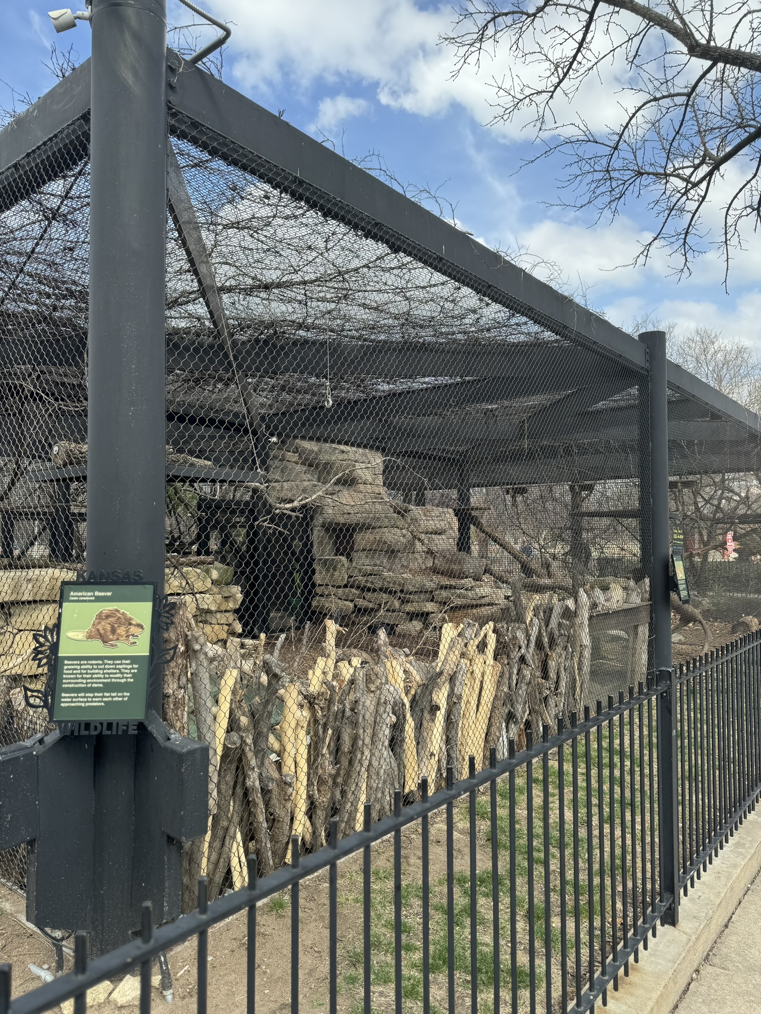 Riverside Park Zoo called the Kansas Wildlife Exhibit is FREE