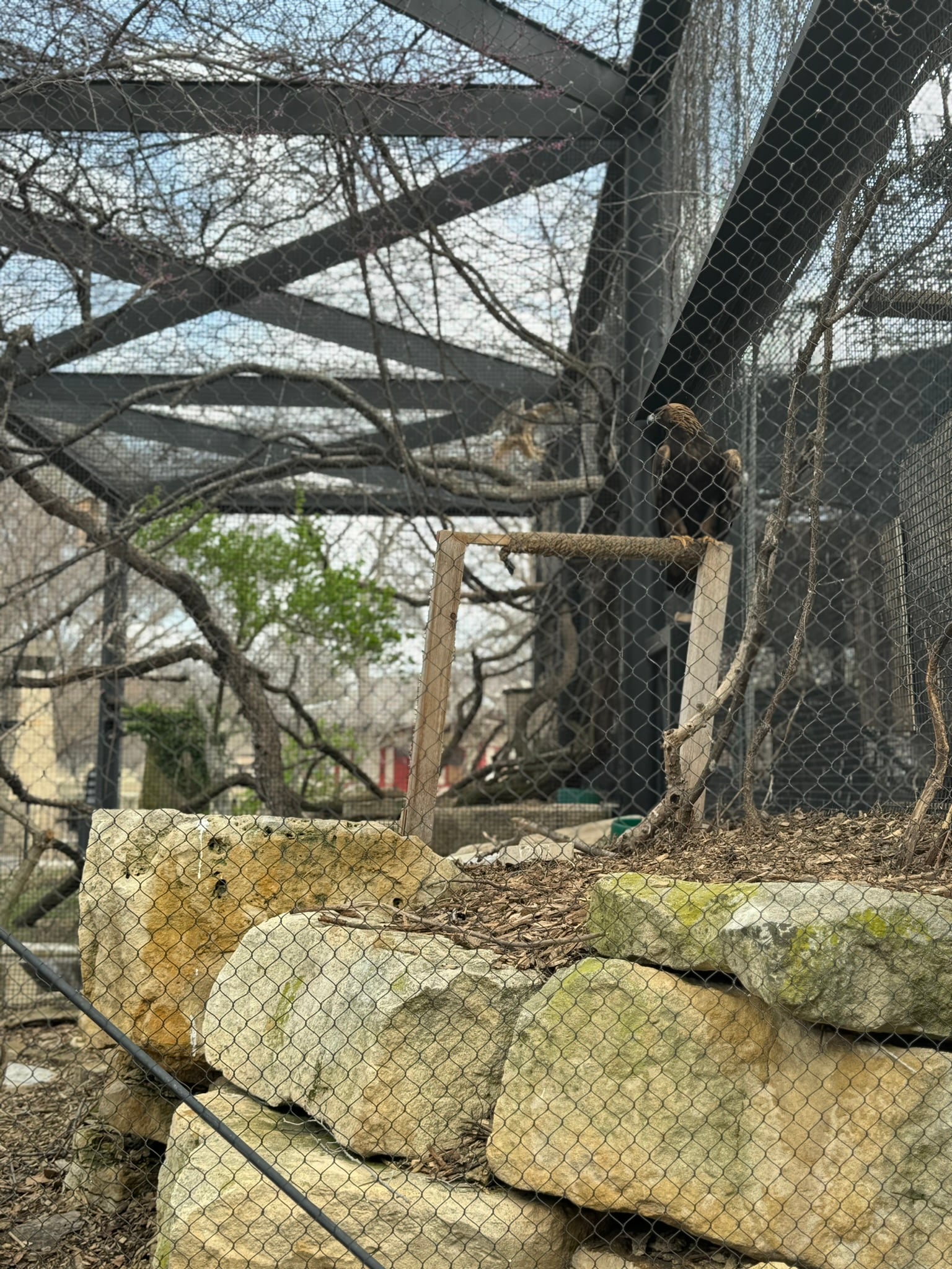 Riverside Park Zoo called the Kansas Wildlife Exhibit is FREE