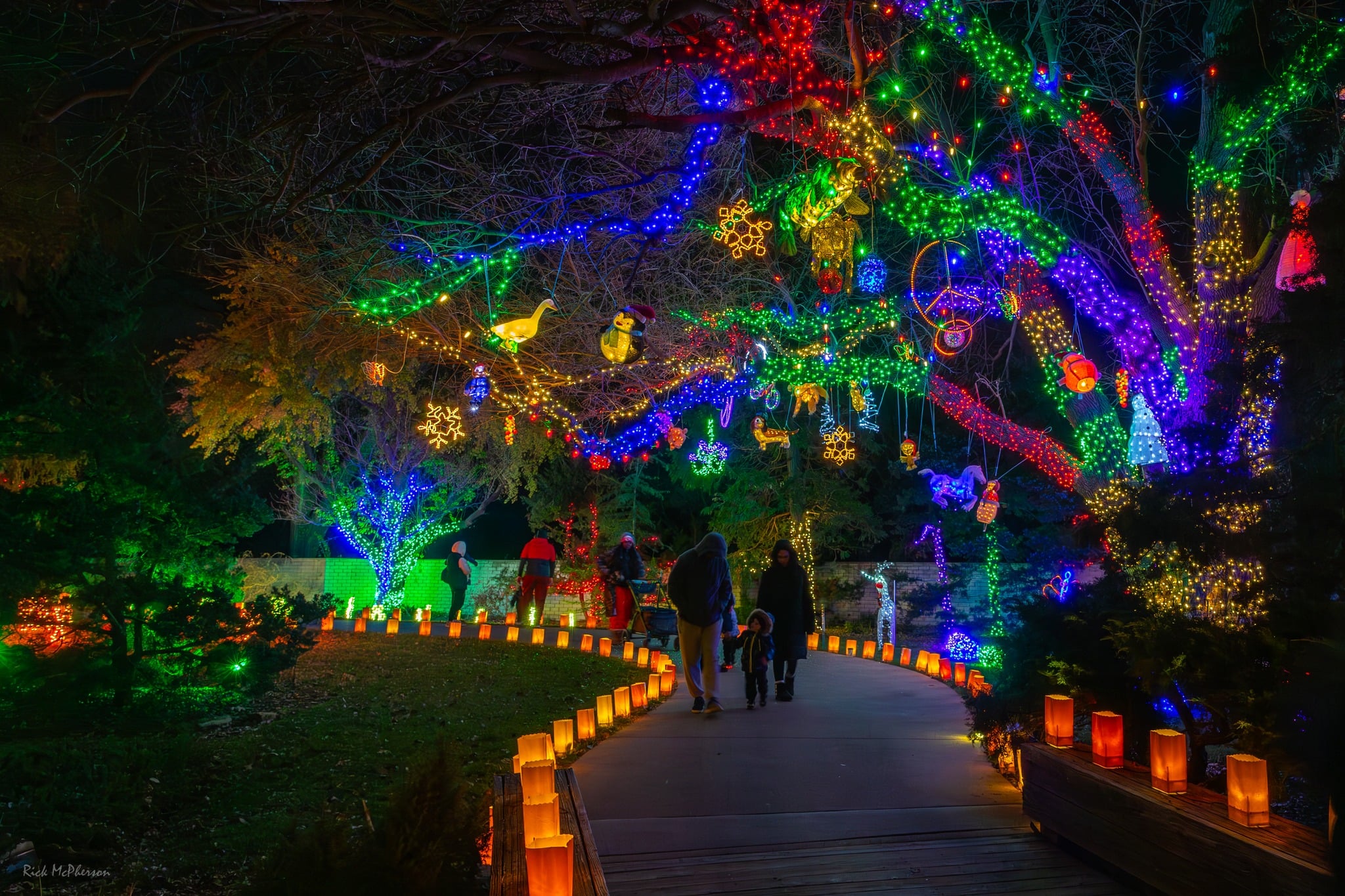 Botanica Illuminations 2025: Light Show & Santa