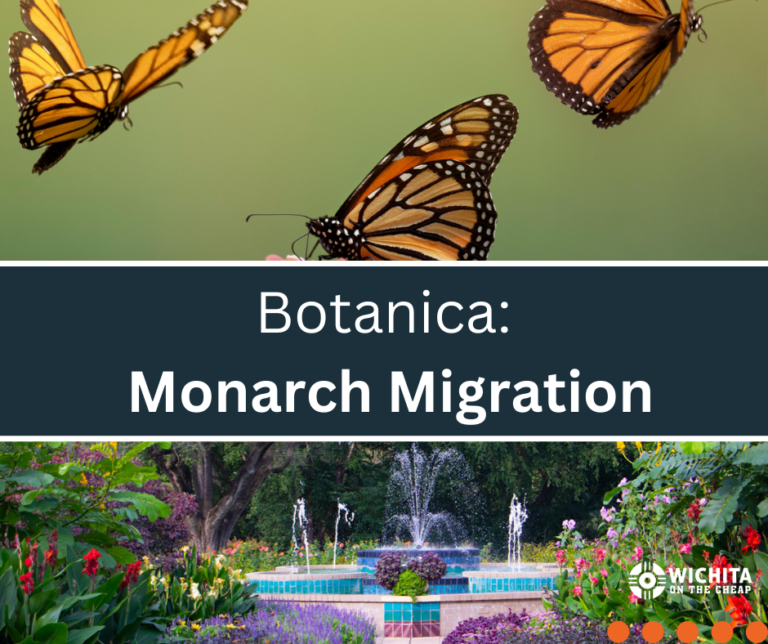 Monarch Migration in Wichita this September