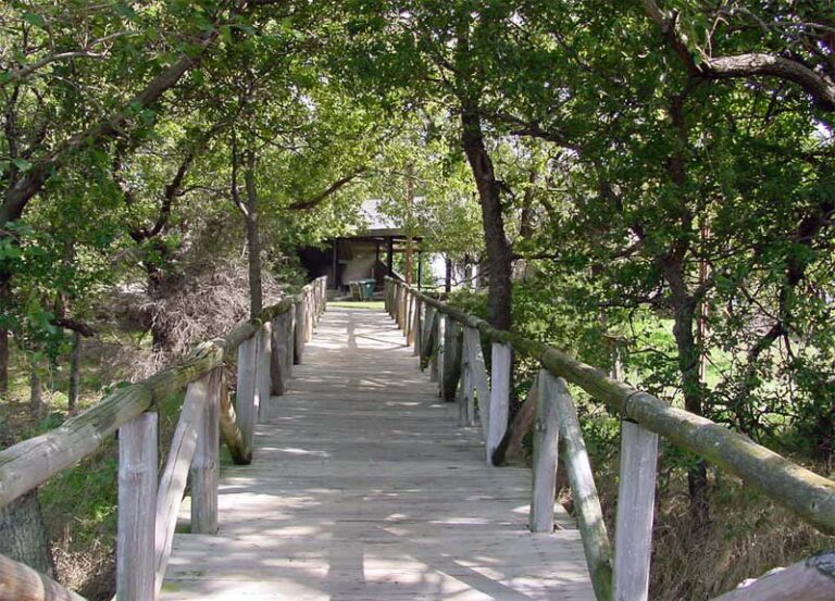 Playgrounds and Parks I Kids playgrounds and activities Wichita