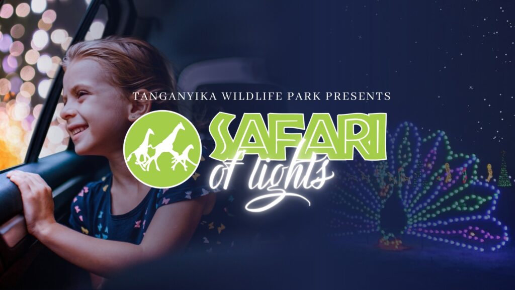 Safari of Lights Holiday Display at Tanganyika