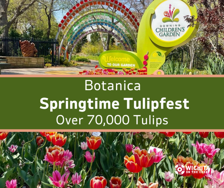 Botanica the Wichita Garden Tulip Festival