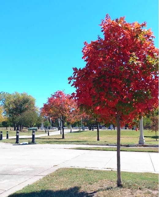 Best Hikes and Scenic Drives for Fall Color in Kansas