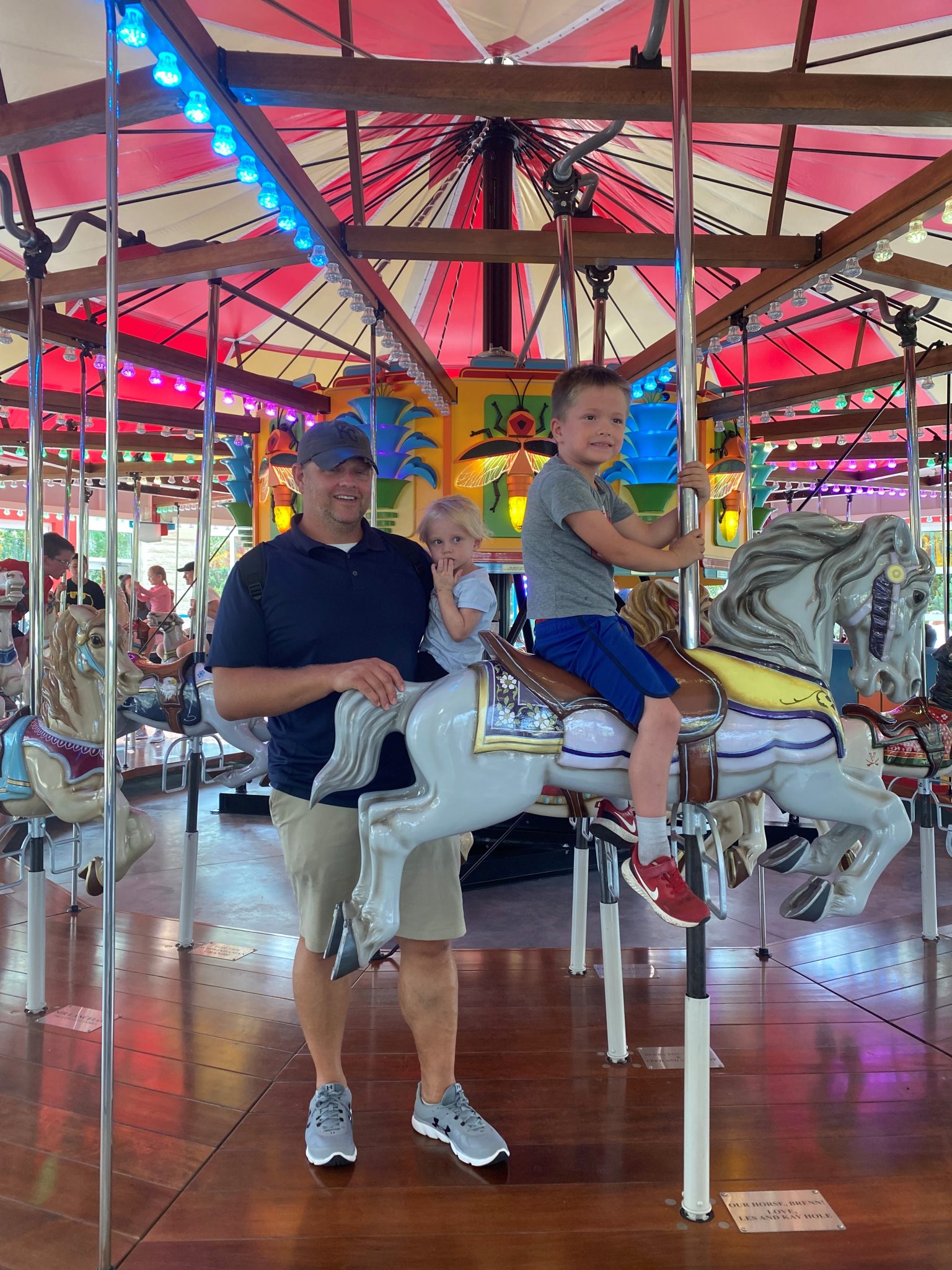 Free carousel rides at Botanica Tuesday & Thursday nights