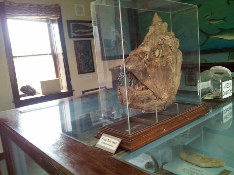 Western Kansas Getaway: Monument Rocks and Lake Scott State Park